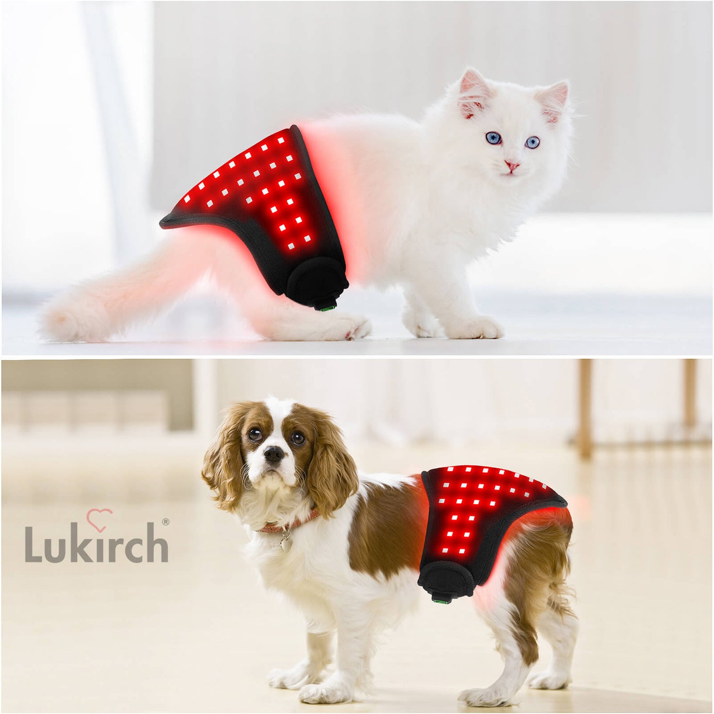 Red Infrared Light Therapy Wrap for Pets – Lukirch®